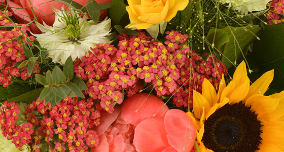 Florist Surrey - order gorgeous flowers online from Buds & Blooms Esher ...